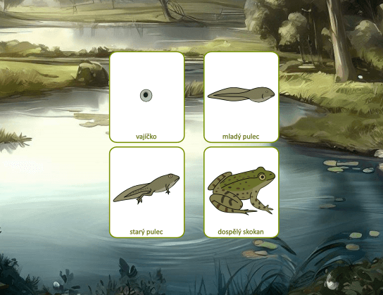 Životní cyklus žáby, mouchy a tučňáka | UnoDuo.cz